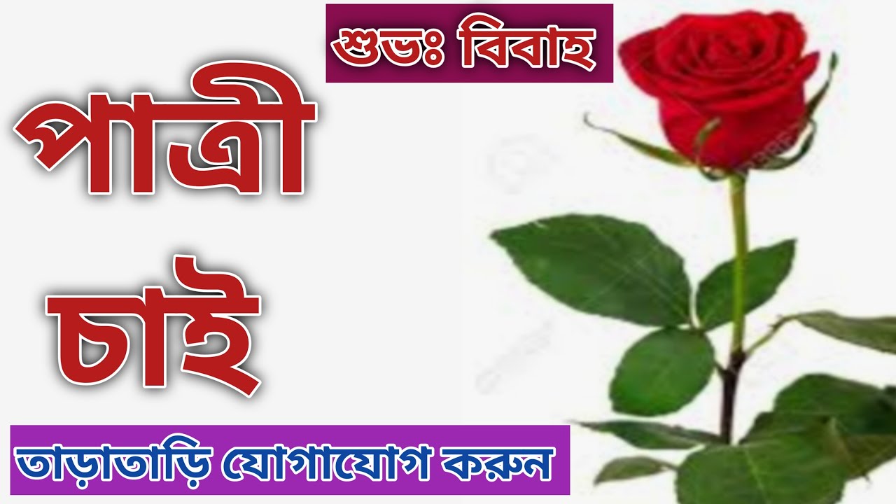 🌹 পাত্র চাই 🌹patro chai 🌹 Patra chai 🌹 Groom 🌹 Bibah Mela - YouTube
