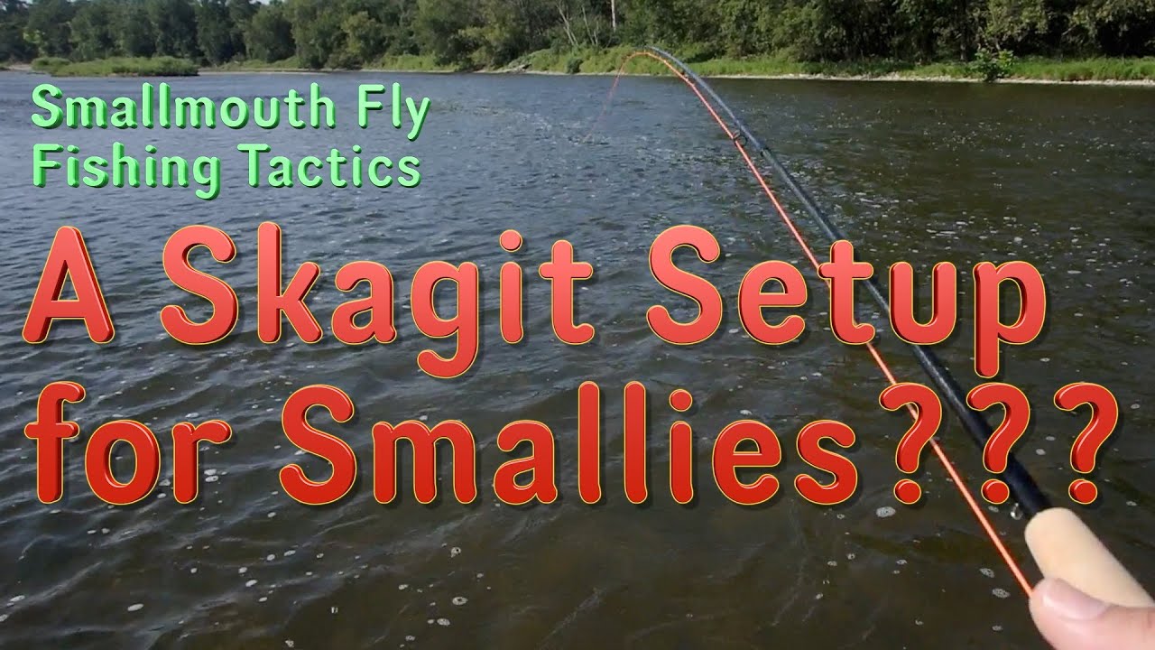 Smallmouth Fly Fishing Tactics: Should we be using Skagit Setups for ...