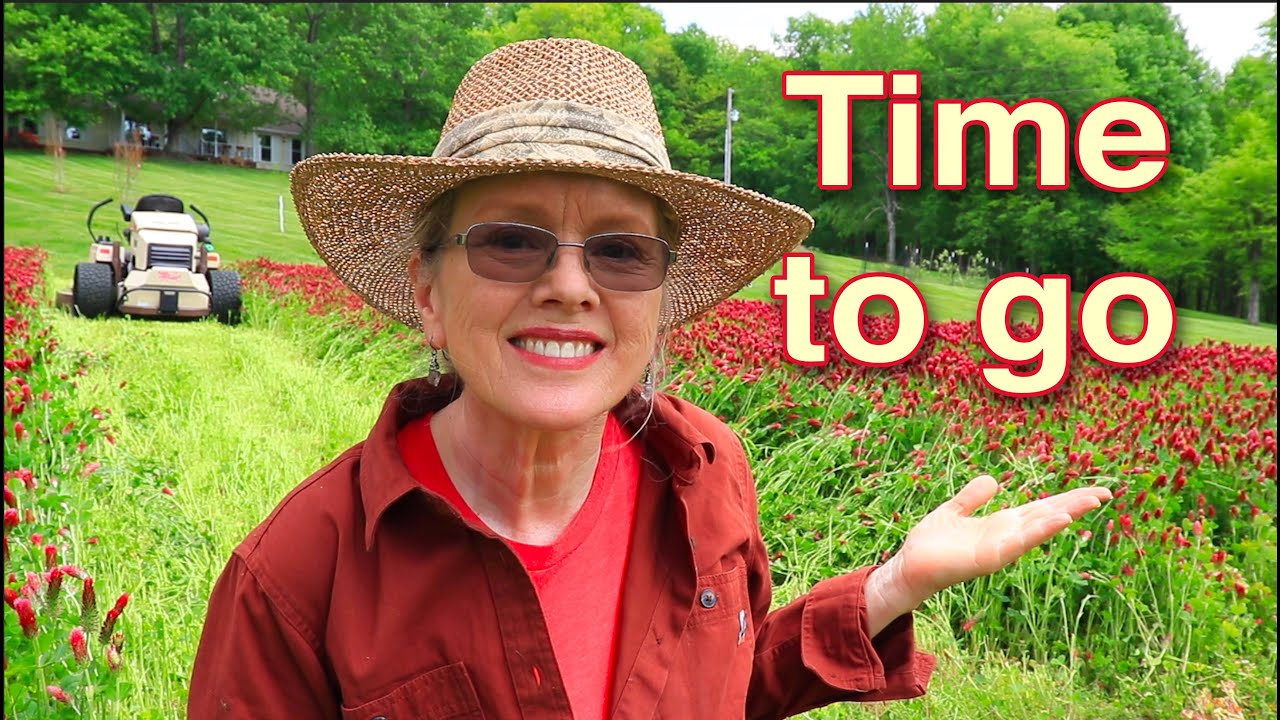 How I TRANSFORMED the HOMESTEAD in ONE DAY (with help!) - YouTube