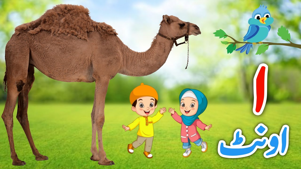Learn ABC ,Alif Se Anar,A To Z Alphabet,Online Class,Cartoon Video ...
