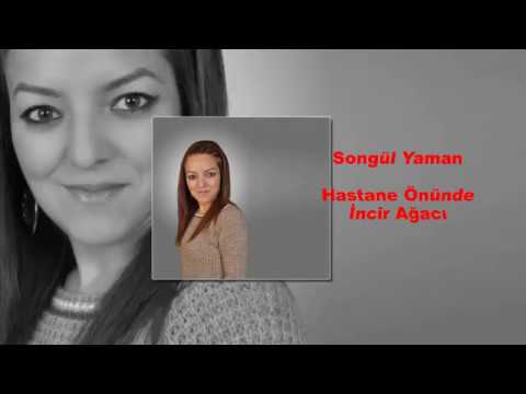 Songul Yaman -  Hastane onunde incir agaci
