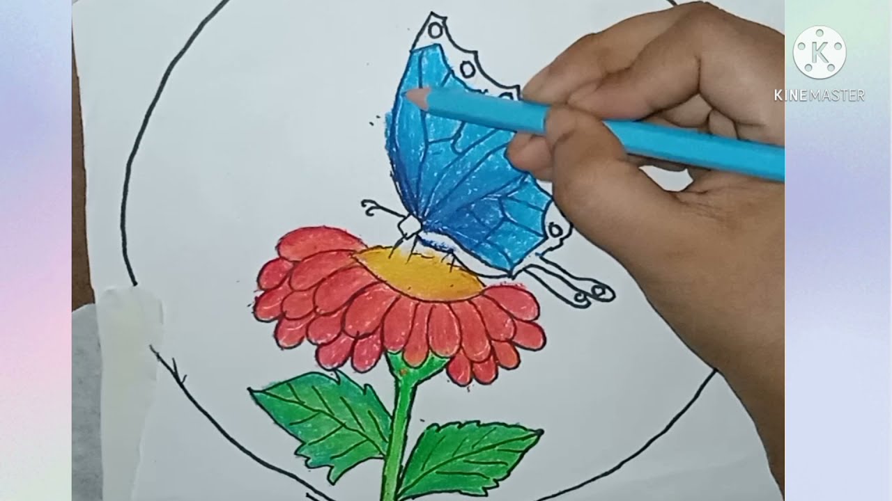 beautyful butterfly sitting on a flower|| How to draw a butterfly ...