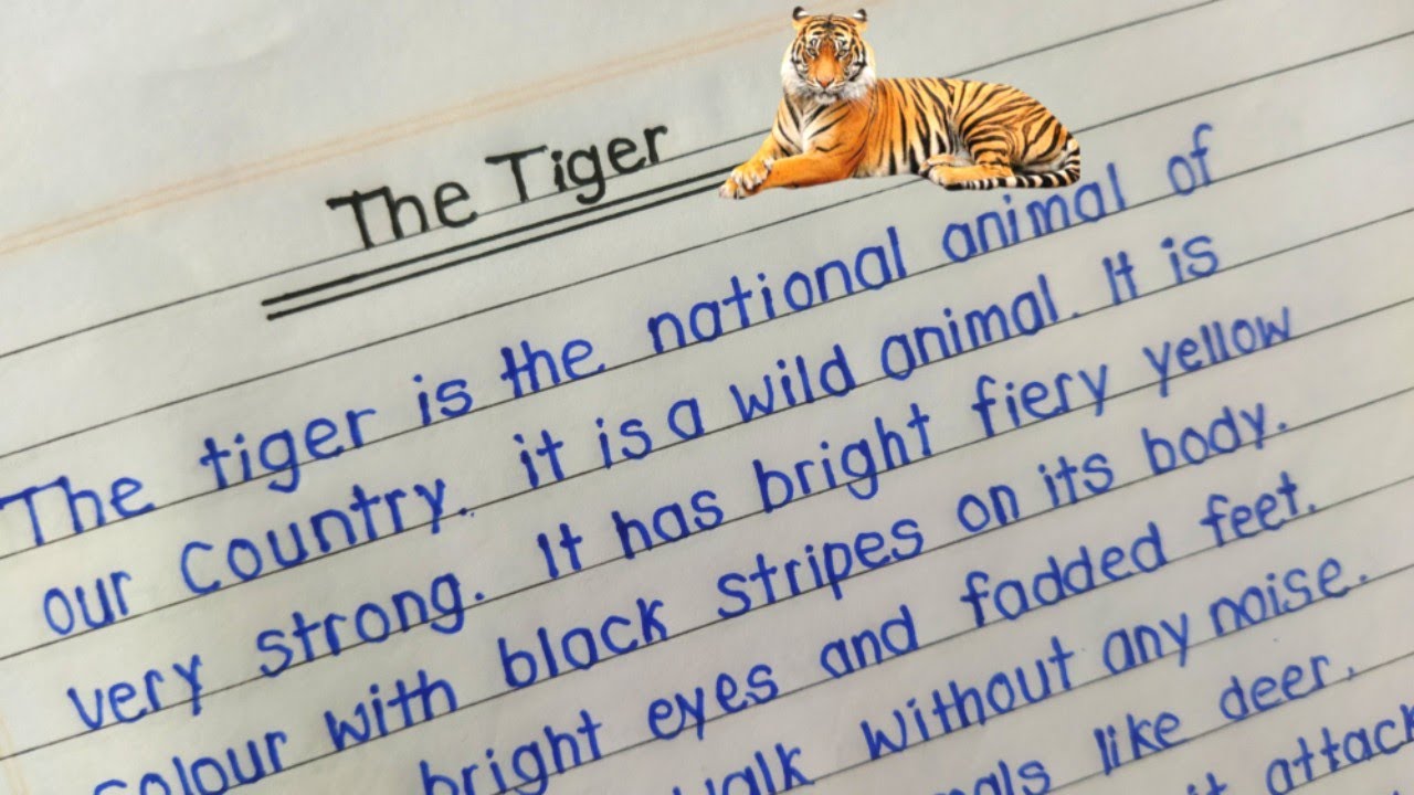 Essay on tiger|| essay on national animal|| handwriting practice ...