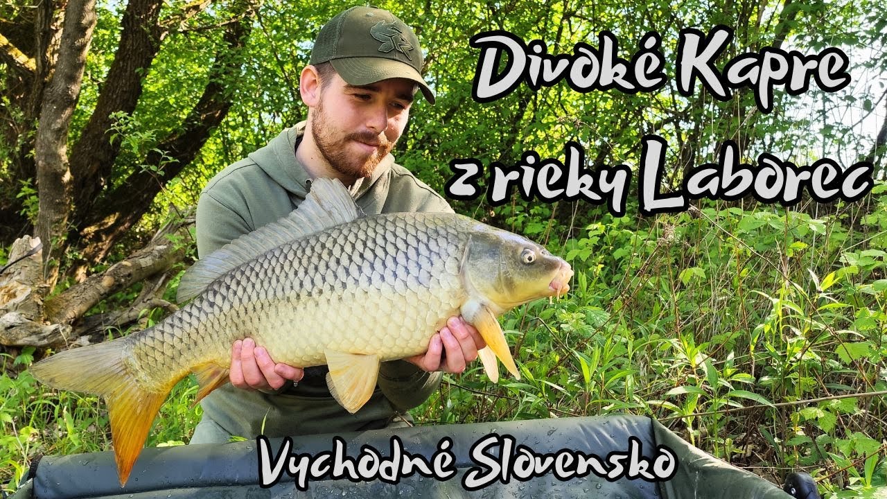 🎣Lov Kapra na rieke Laborec 🐟 splním cieľ videa a ulovím....?🎣 - YouTube