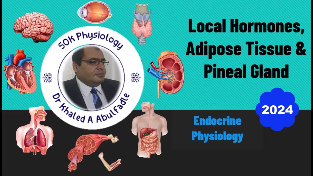 Local Hormones, Adipose Tissue & Pineal Gland (10-2024) by Dr Khaled A ...