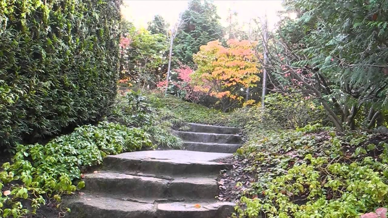 Nelson Rangell - Saxophone from the Garden of the World ♥ ♪♫♫• Smooth ...