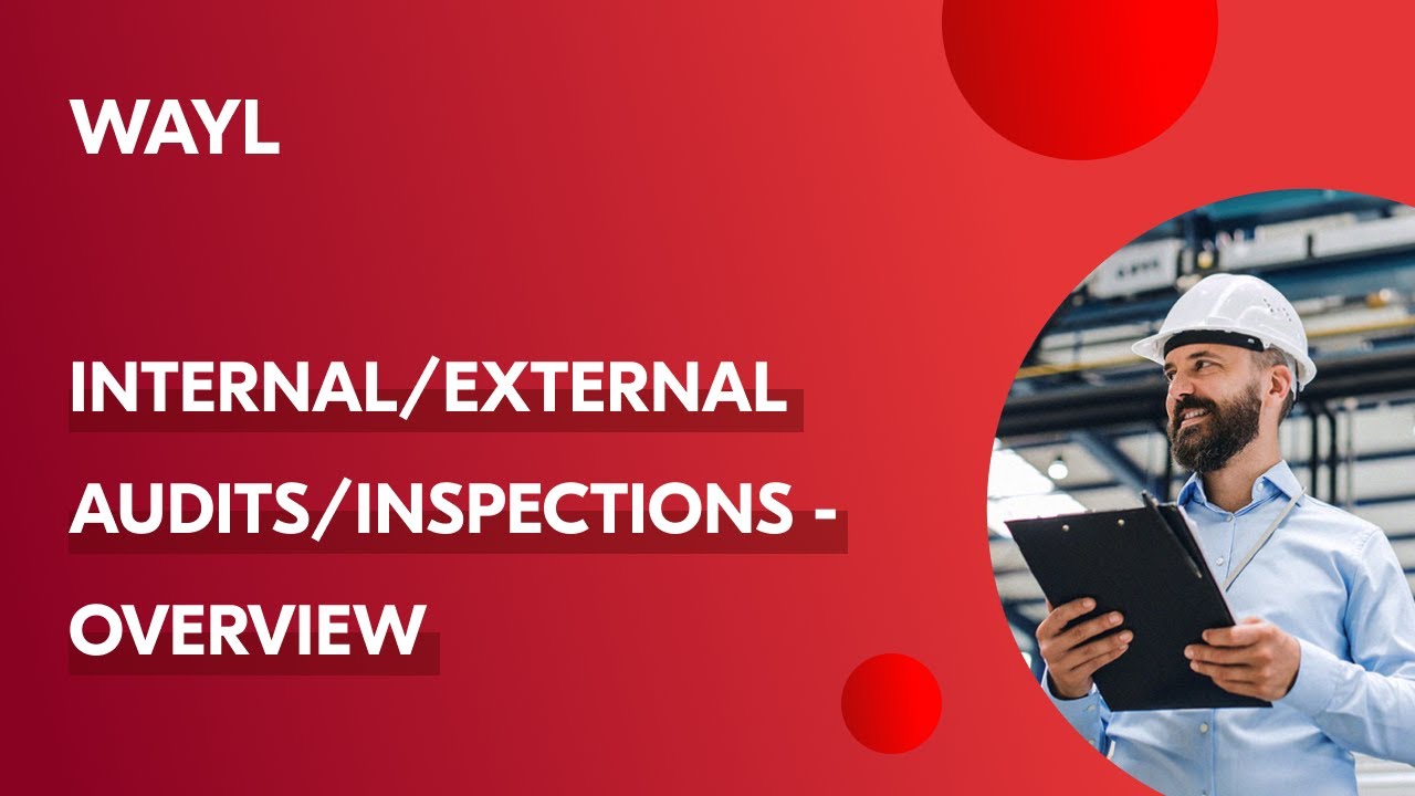 Internal External Audits Inspections module - Overview - YouTube