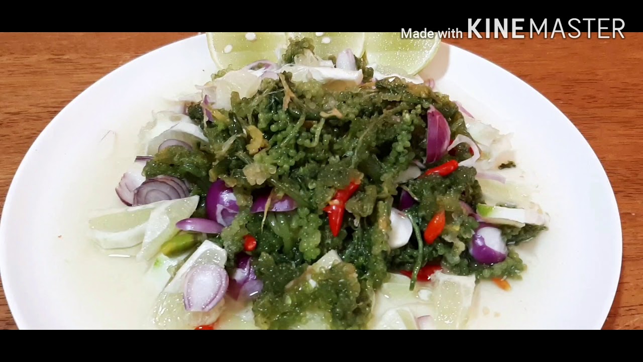 Latok @ anggur laut - YouTube