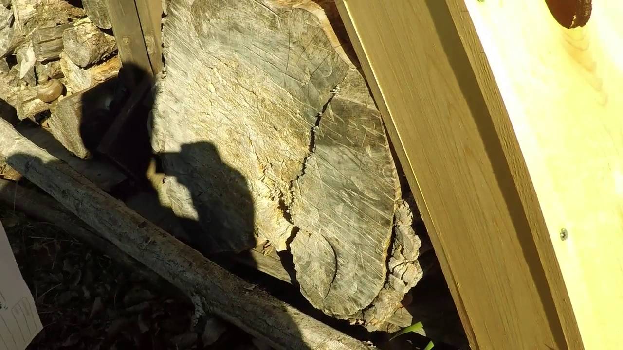 Marten Nesting Box Build - YouTube