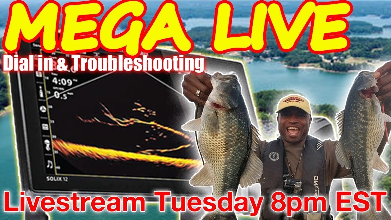 MEGA LIVE Discussion. (Subscribers Call In) - YouTube