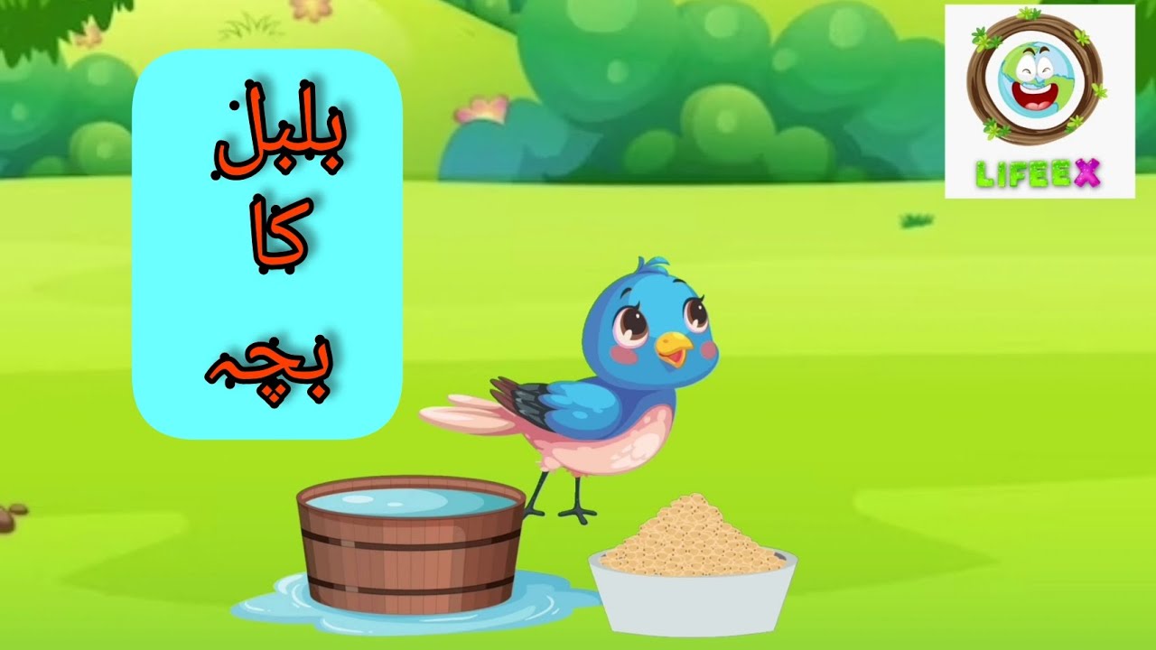 Bulbul ka Bacha | Urdu Poem | بلبل کا بچہ | Urdu Nursery Rhyme ...