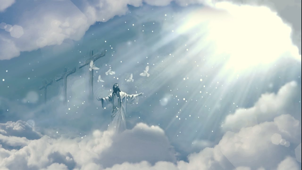 Paula Seling - O, ma ntorc [Lyric Video] - YouTube Music