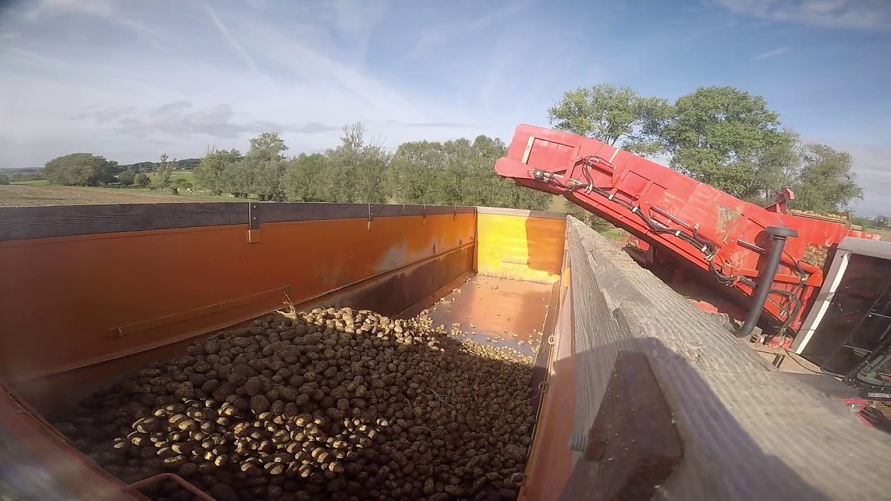 Best Of 2019 [GoPro] - YouTube