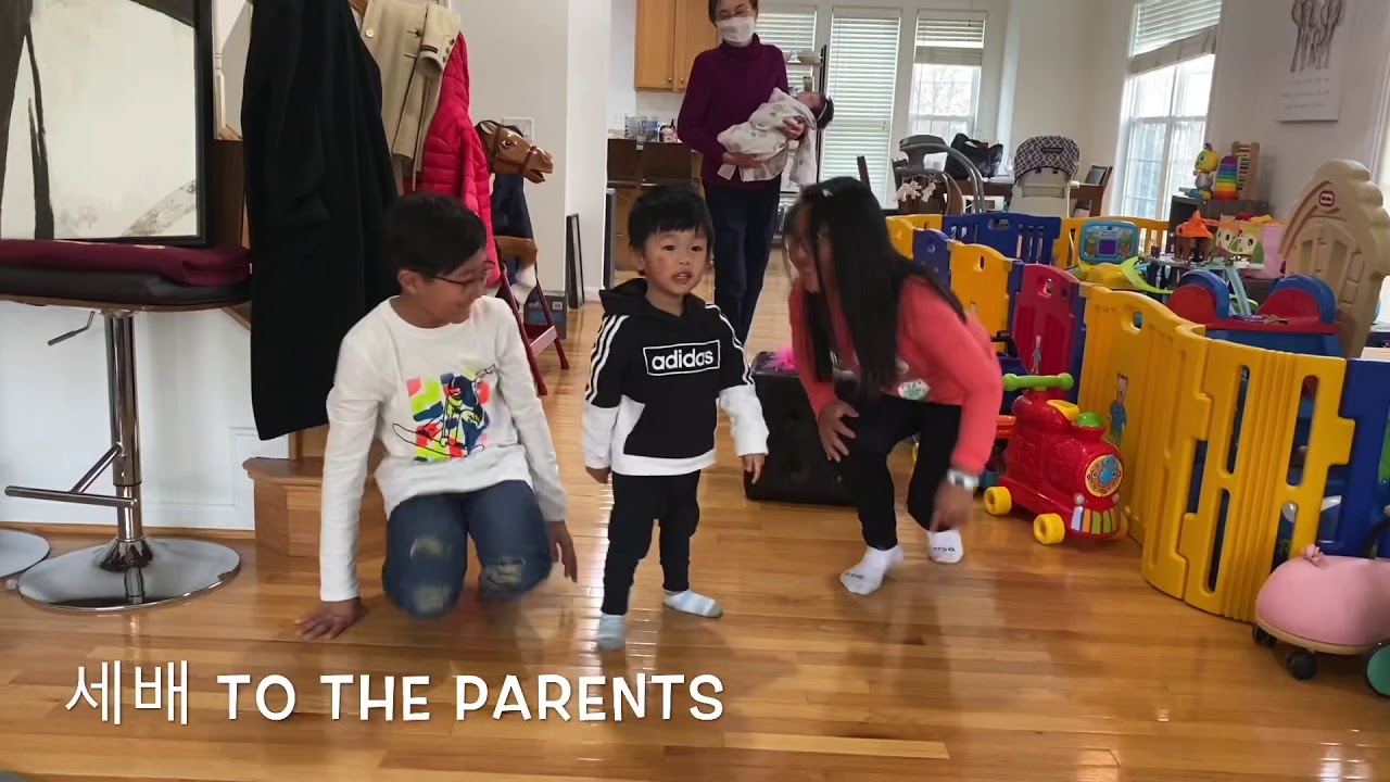 Happy New Year 세배 (sebae) - YouTube