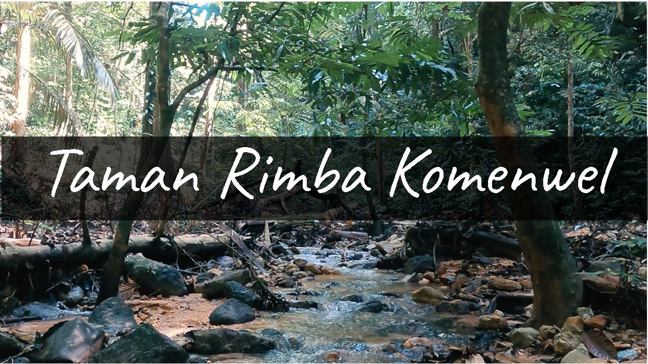 Taman Rimba Komanwel (TERKOM) , Rawang - YouTube