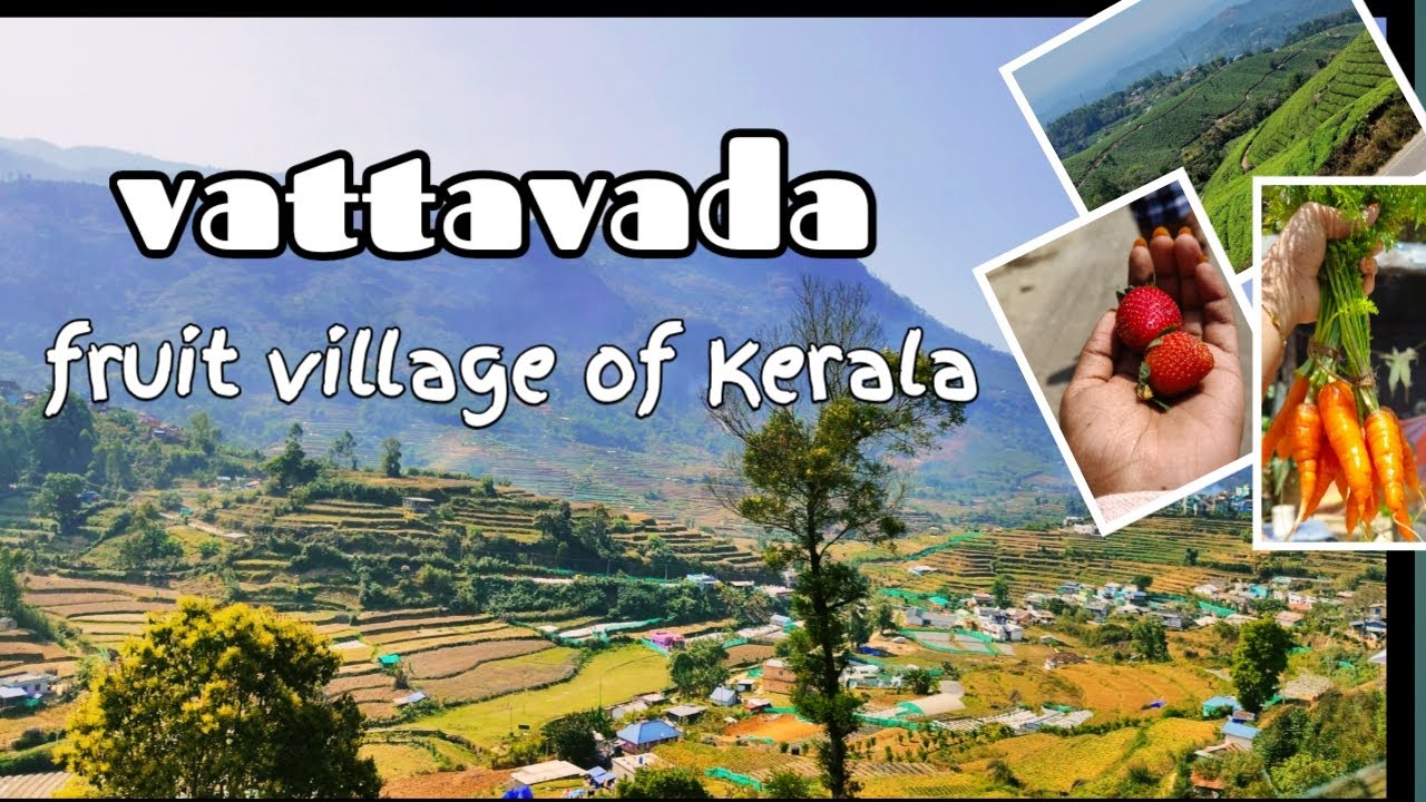 Vattavada | the most beautiful fruits village of Kerala | hizas world ...