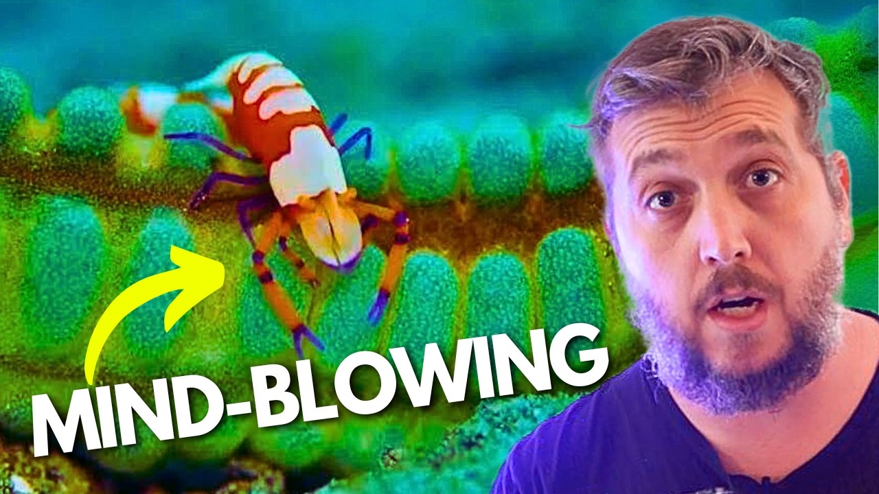 7 Unique Symbiotic Relationships For Your Reef Tank! - YouTube