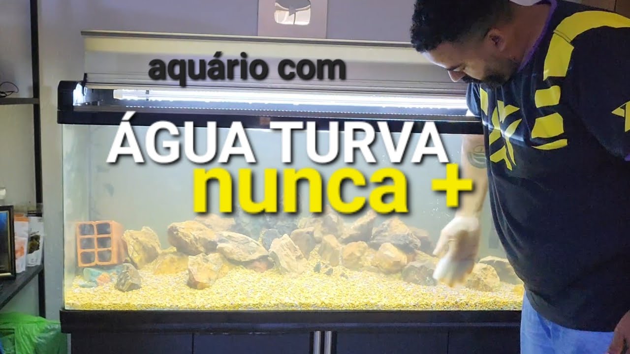 COMO RESOLVER A ÁGUA TURVA E DEIXAR CRISTALINO O AQUARIO USANDO ...