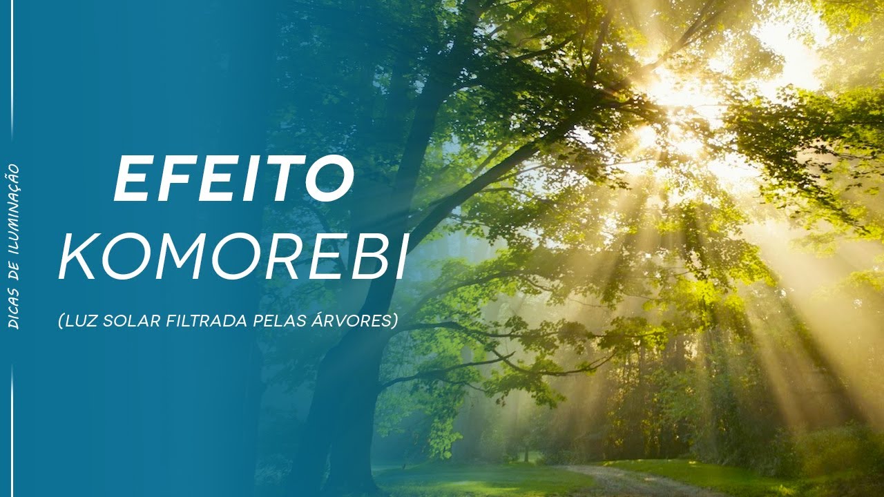 Efeito Komorebi (luz solar filtrada pelas árvores) - YouTube