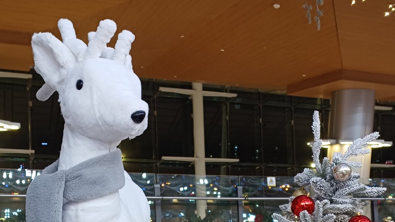 12 SNAP line dance - YouTube