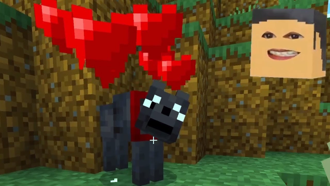 I found the black Wolves in Minecraft #16 - YouTube