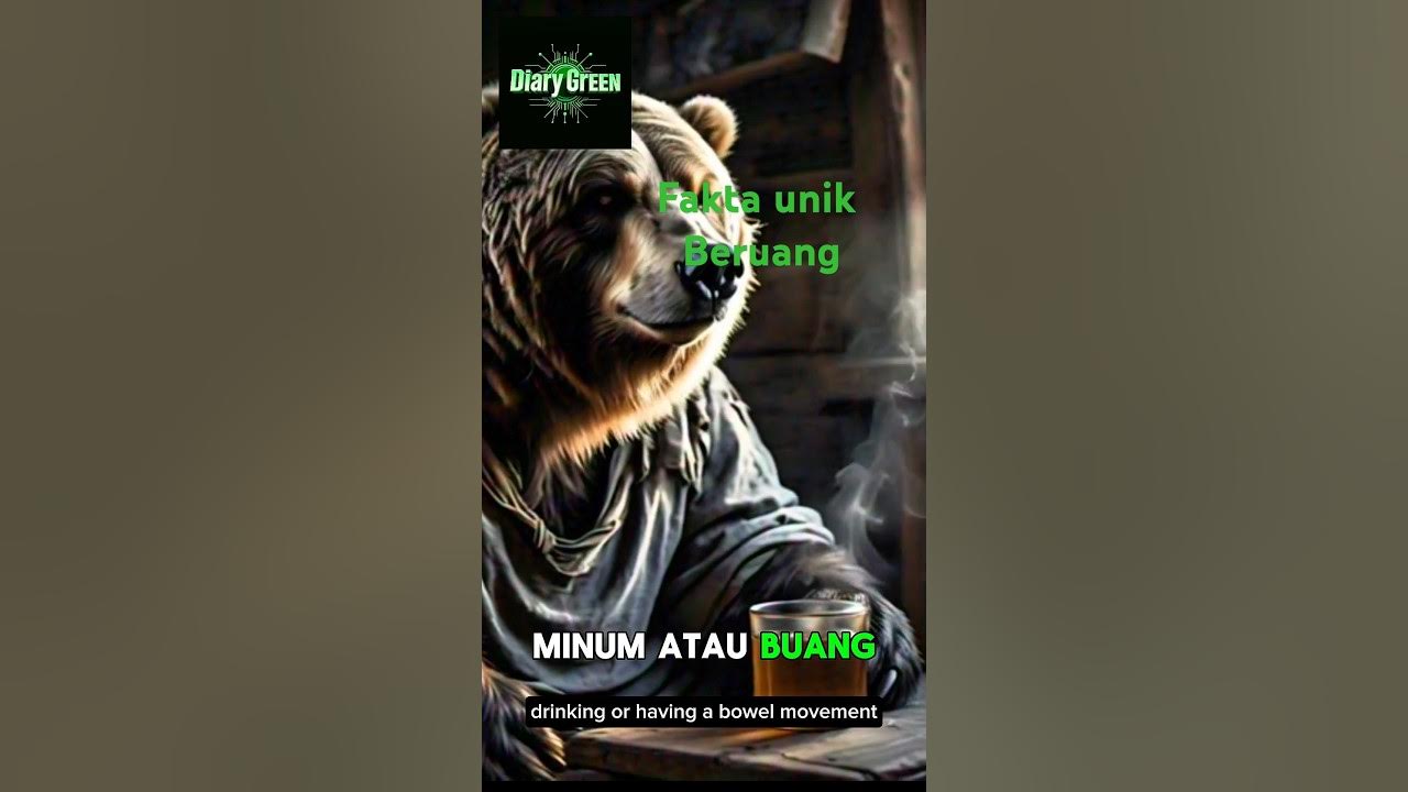 Fakta Unik Beruang yang Jarang Diketahui!" - YouTube