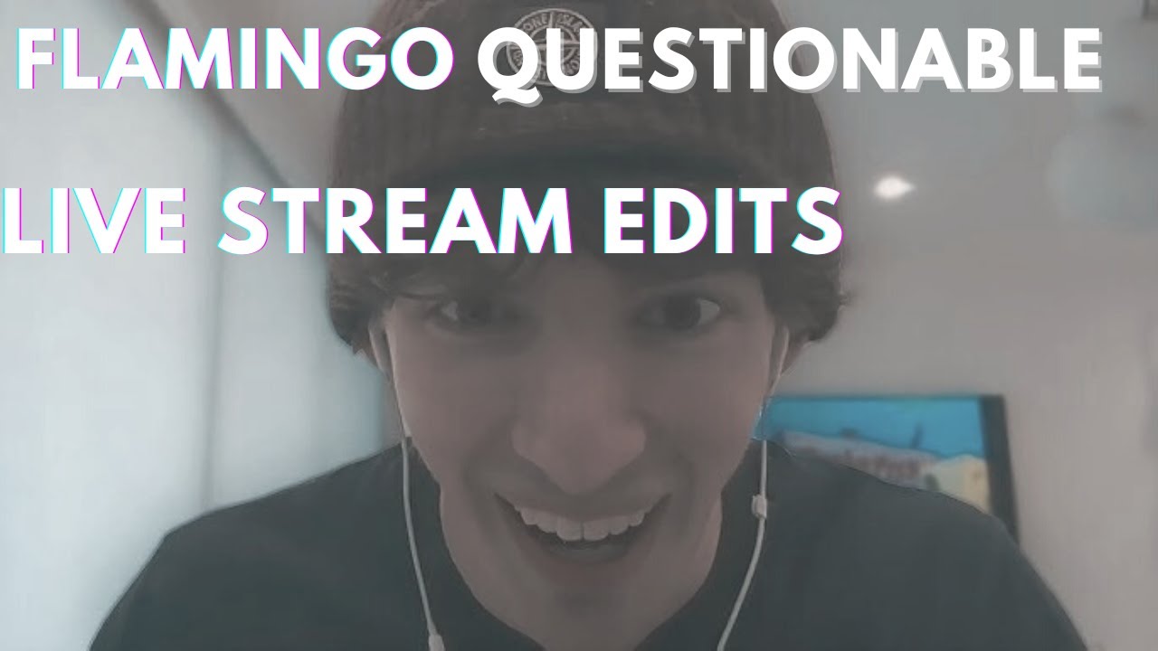 Edited Flamingo questionable live stream pt2 - YouTube