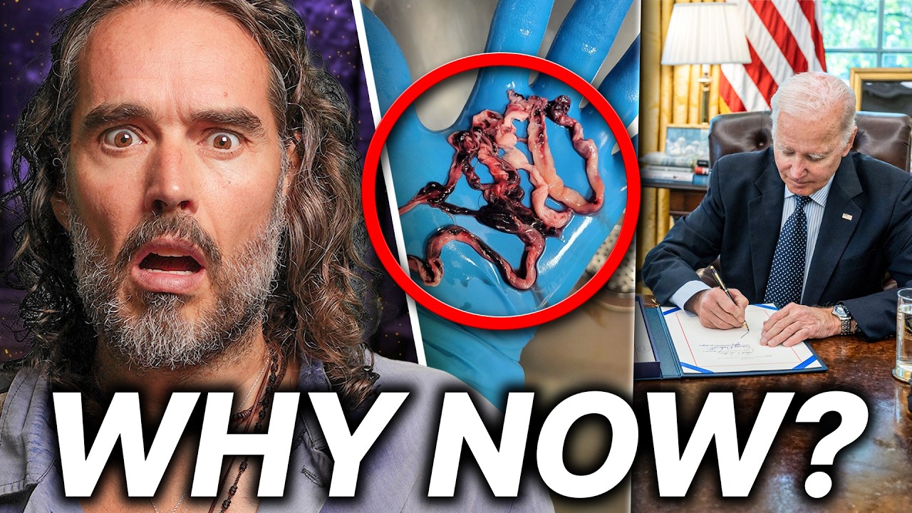How is this even allowed? - YouTube