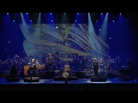 VAMP & KORK - 13 humler (live)