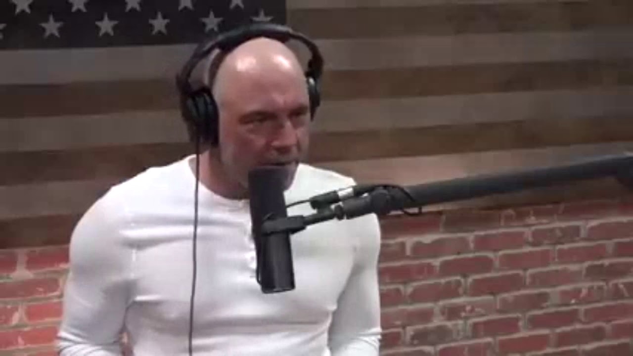 Joe Rogan calls out the dumb motherfuckers - YouTube