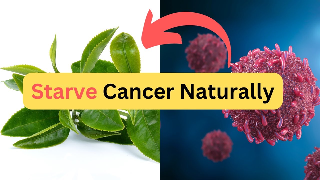 Top 5 Foods That Starve Cancer Cells - YouTube