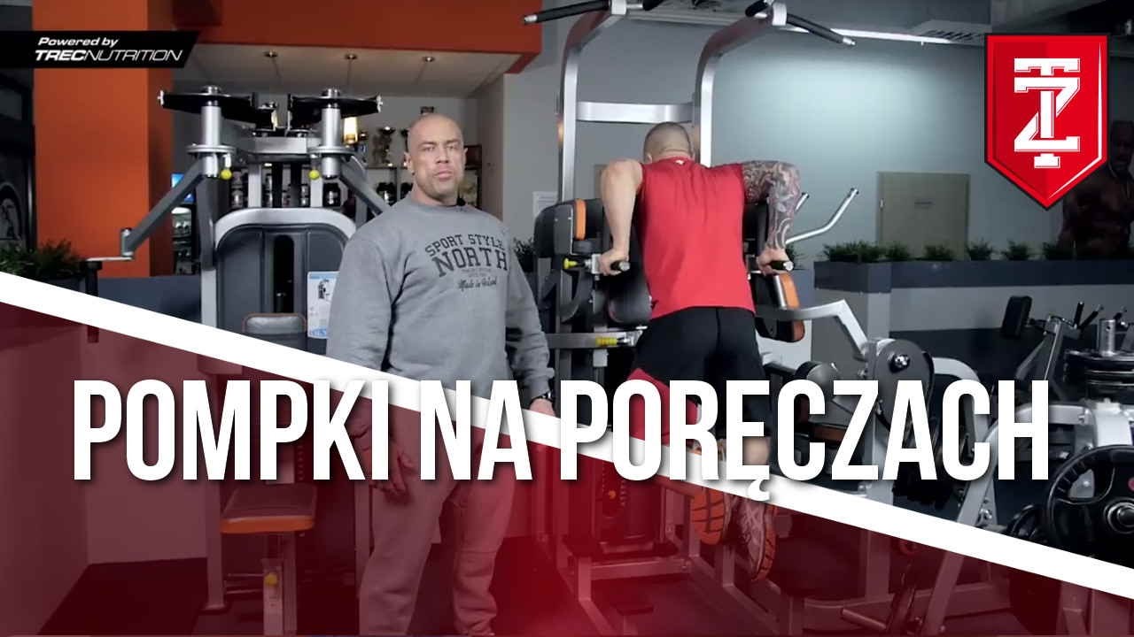 Pompki na poręczach - ĆWICZENIA TRICEPS | Podstawy dla początkujących ...