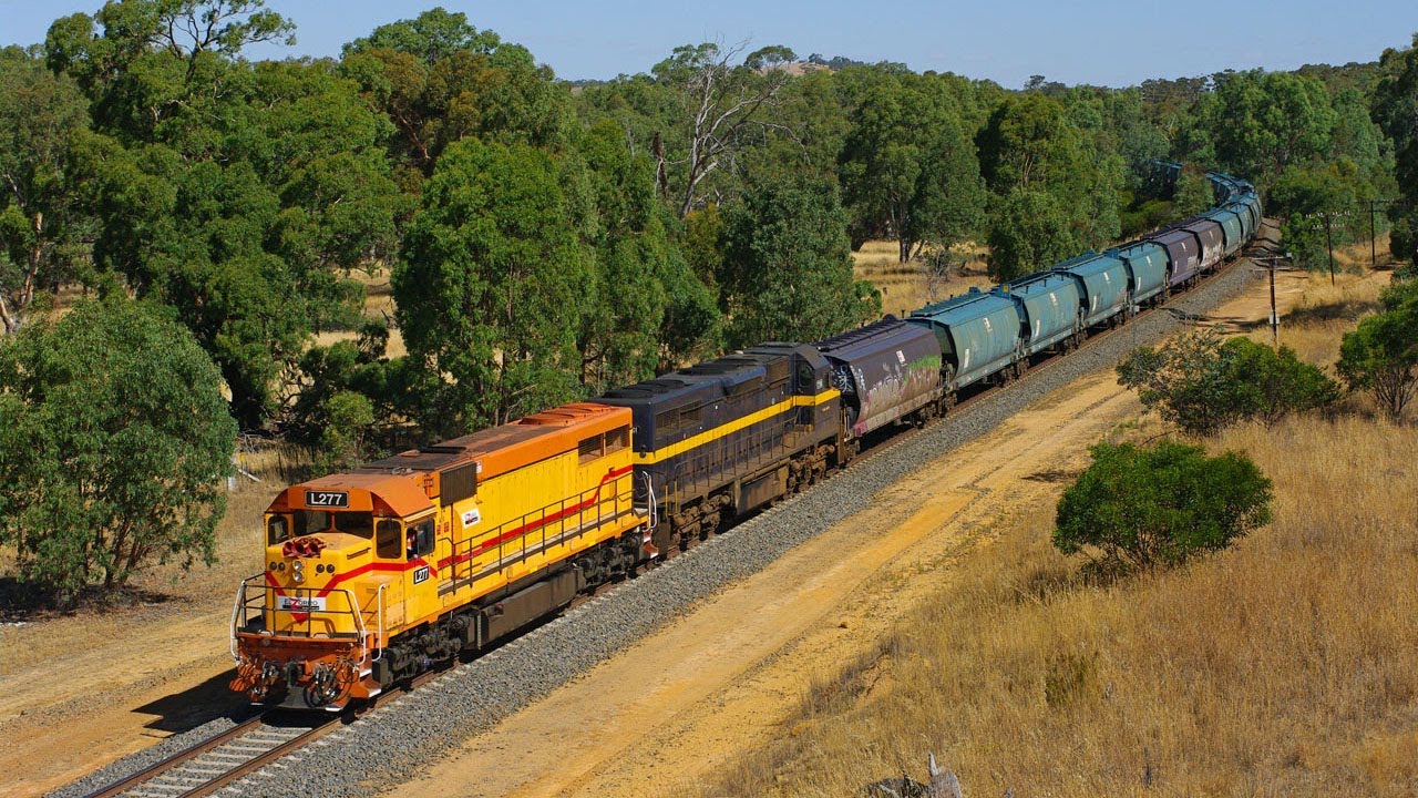 Australia Day Trains : Western Line El Zorro Grain. Sat 26/01/13 - YouTube