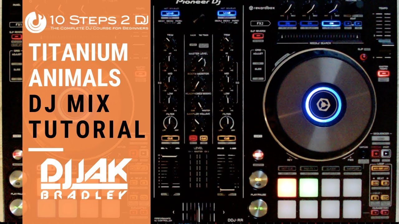 Titanium Animals | DJ Mix Tutorial 004 - YouTube