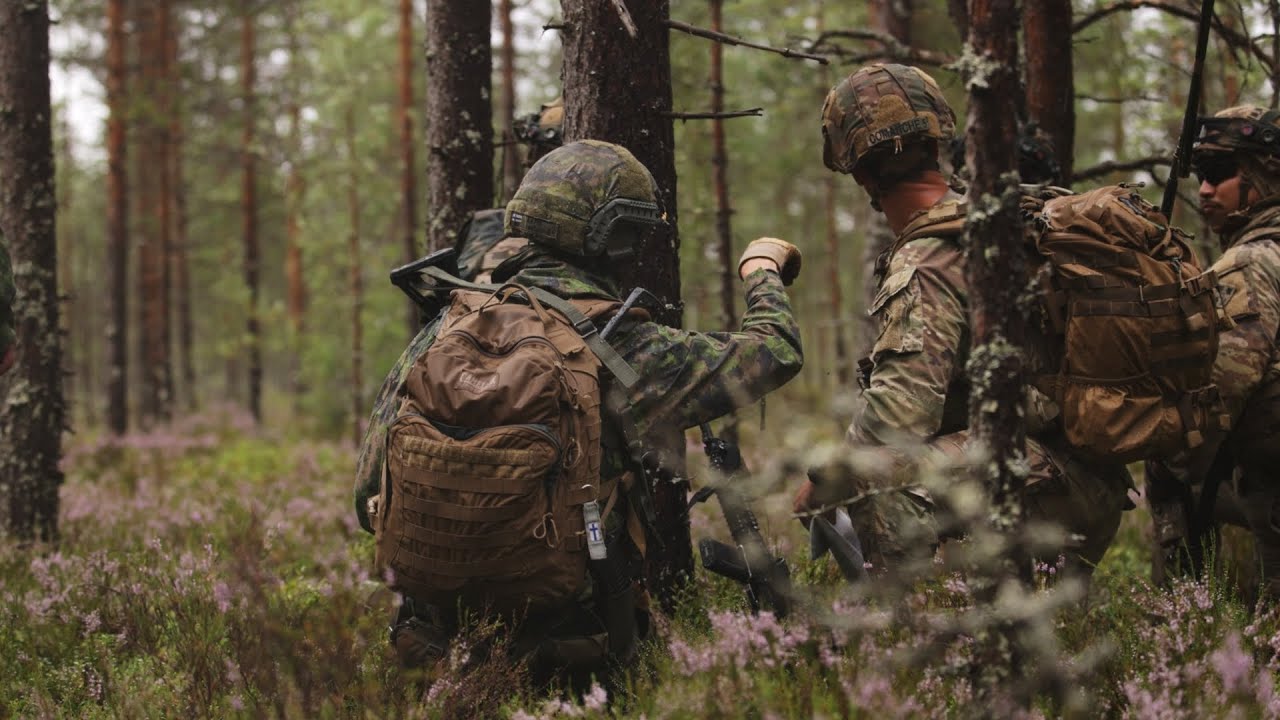 Vigilant Fox – Stronger Together - YouTube