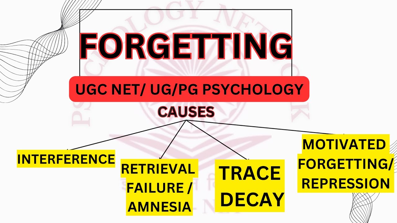 CAUSES OF FORGETTING | TRACE DECAY | MOTIVATED FORGETTING | AMNESIA ...