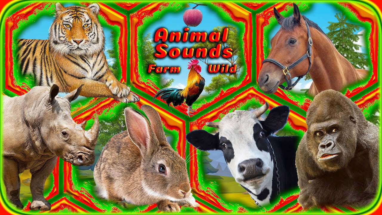 Animal Sounds • Farm Animals • Wild Animals • Text and Animal Names ...