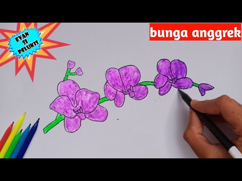 cara menggambar bunga anggrek ||menggambar bunga anggrek - YouTube