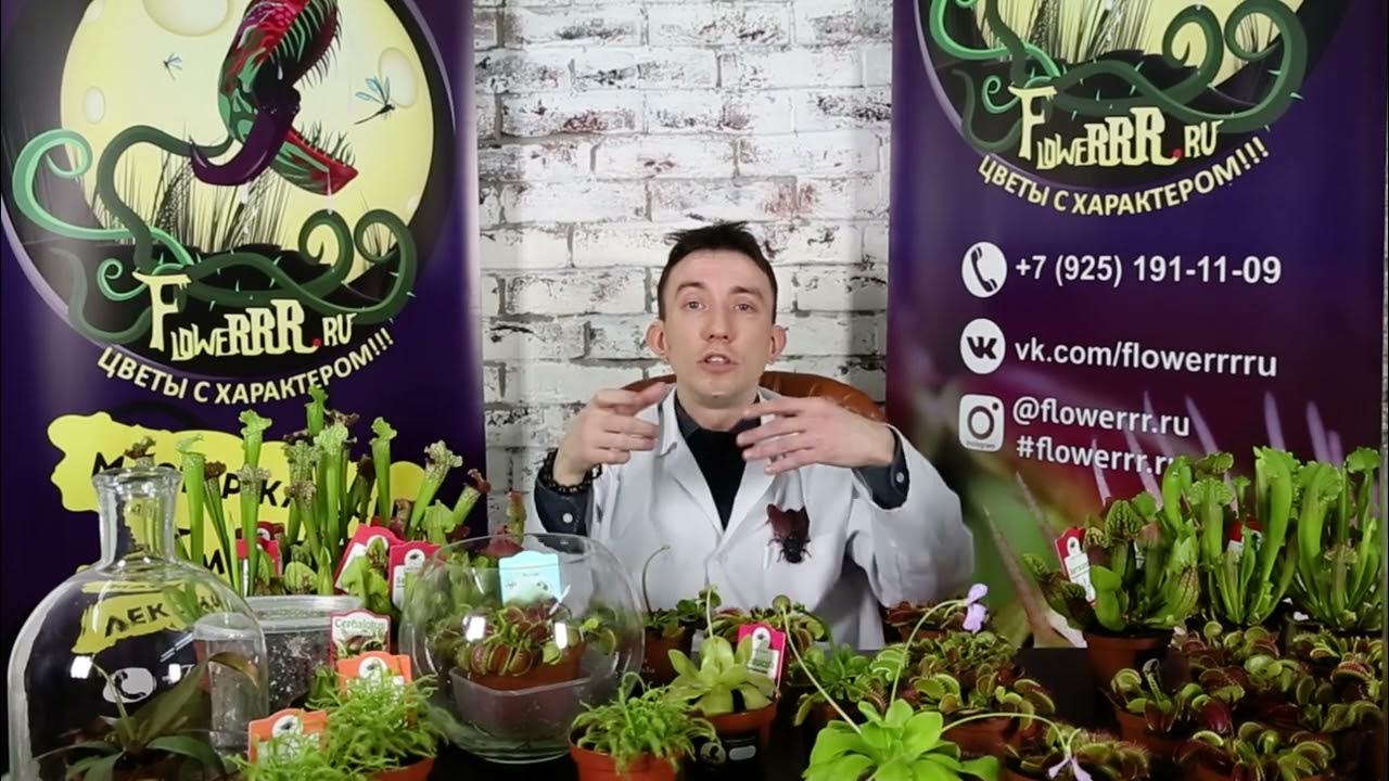 Влияние удобрений на хищные растения - YouTube