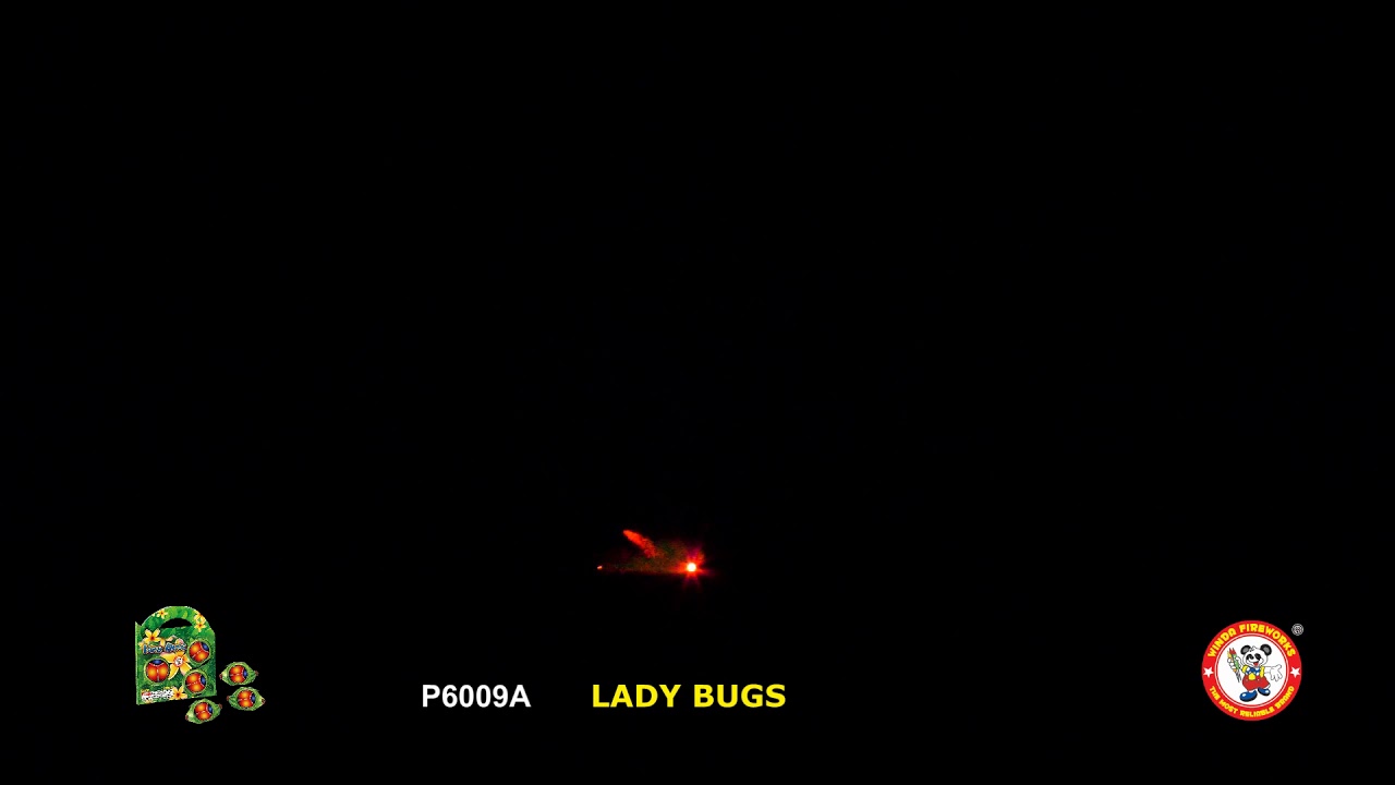 P6009A LADY BUGS WINDA FIREWORKS - YouTube