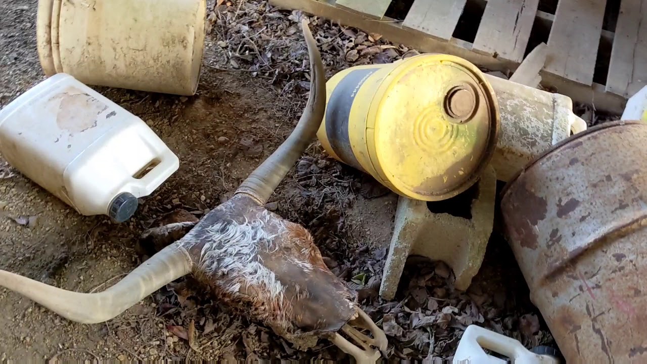 Tractor Rescue After 25 Years of Sitting - YouTube