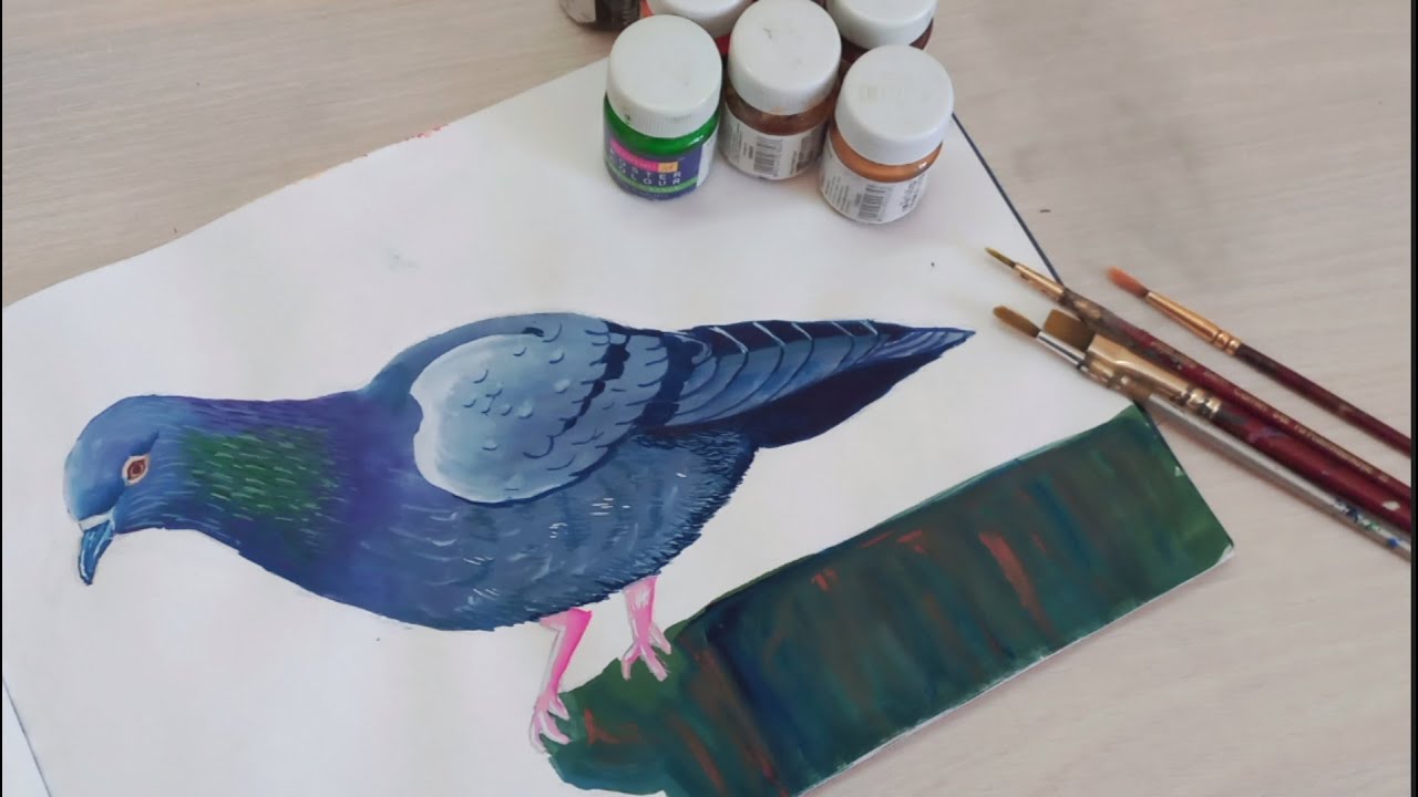 Painting of a pigeon with poster colours | Paint Blast #birdspainting ...