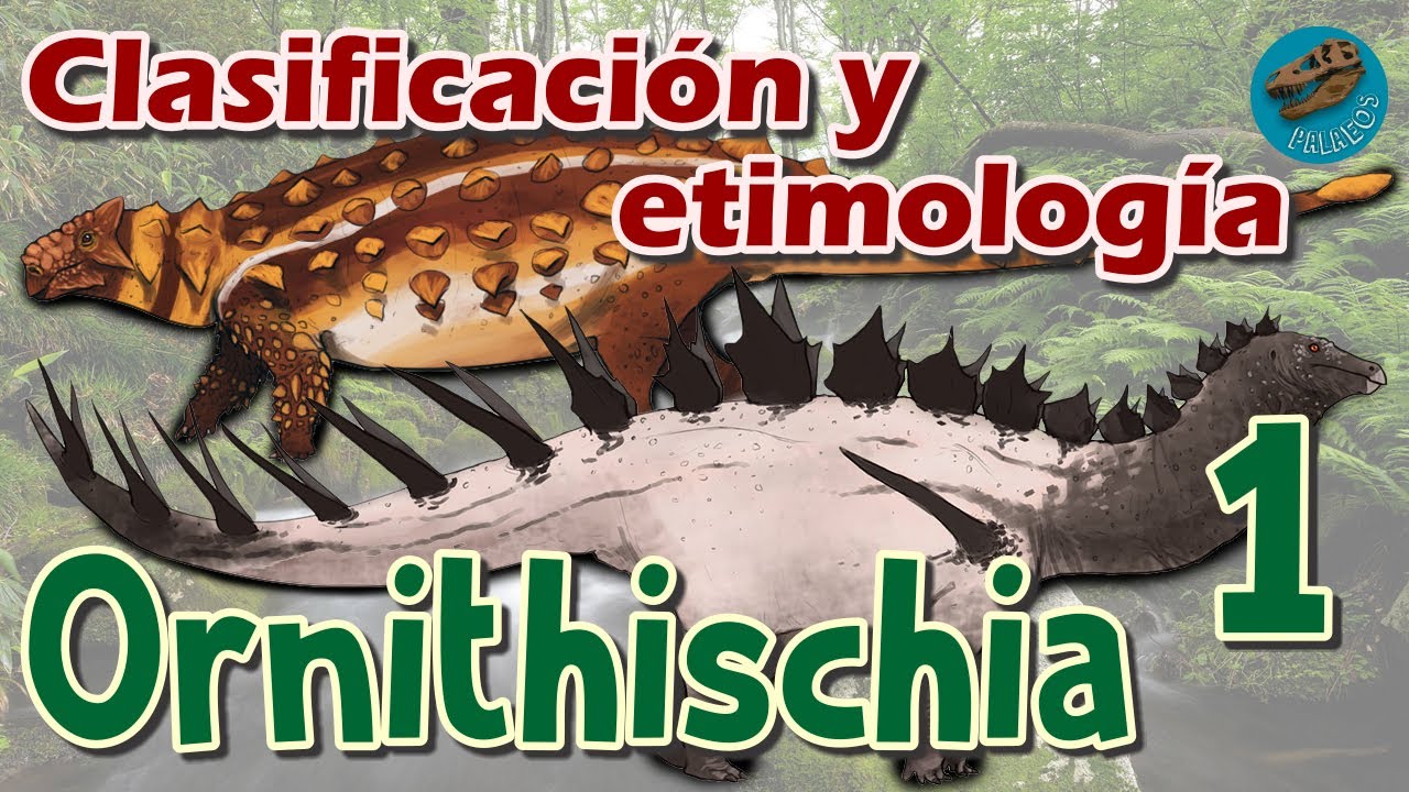 Clasificación y etimología de: ORNITHISCHIA (parte 1) - YouTube