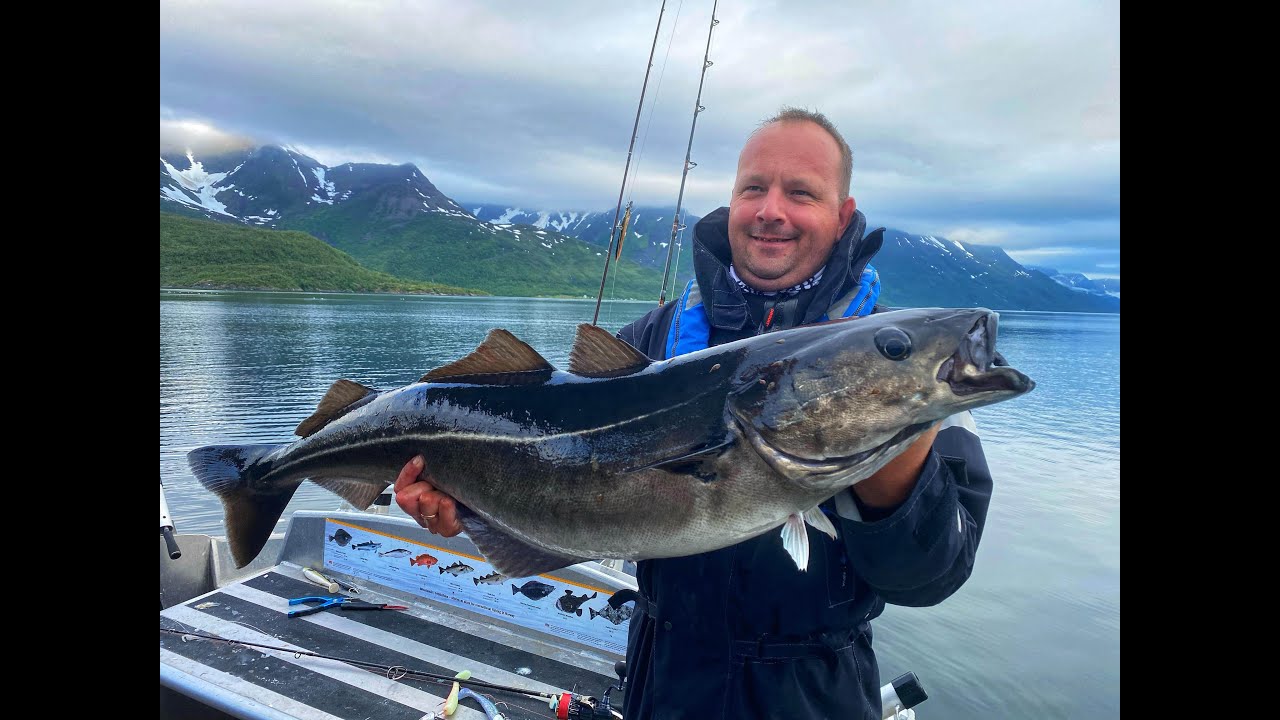 BIG FISH ADVENTURE - SØRØYA - Hasvik ( 4K ) All Inclusive Group 2020 ...