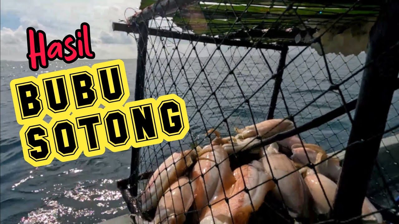 Tahan & Angkat Bubu Sotong / Cumi. How To Catch Squid With Squid Traps ...