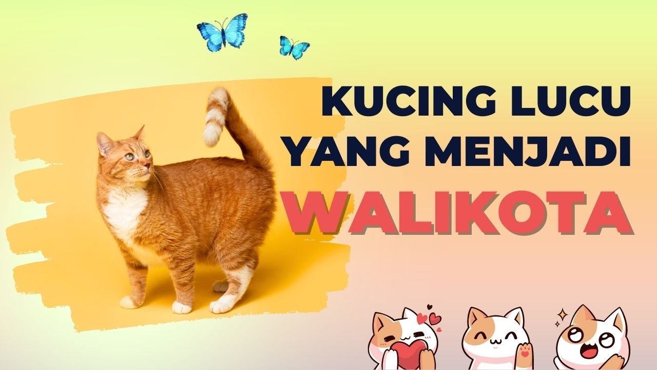 Kucing Lucu yang Menjadi Walikota Kisah Unik Talkeetna, Alaska - YouTube
