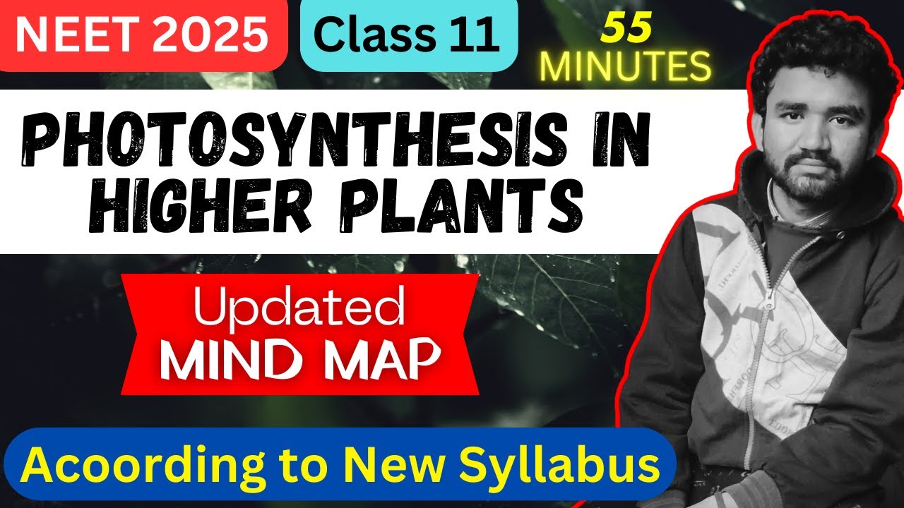 Mind Map - Photosynthesis in Higher Plants | NEET 2025 Class 11 - YouTube