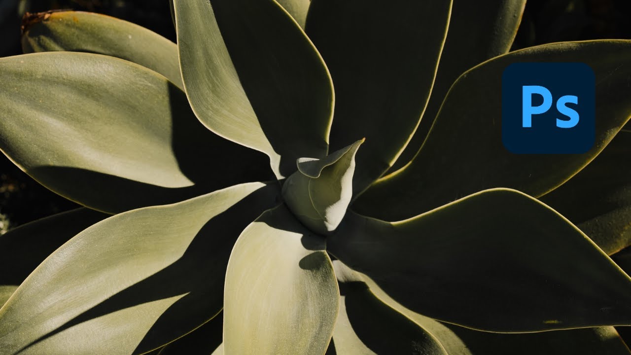 How To Use Liquefy in Photoshop - YouTube