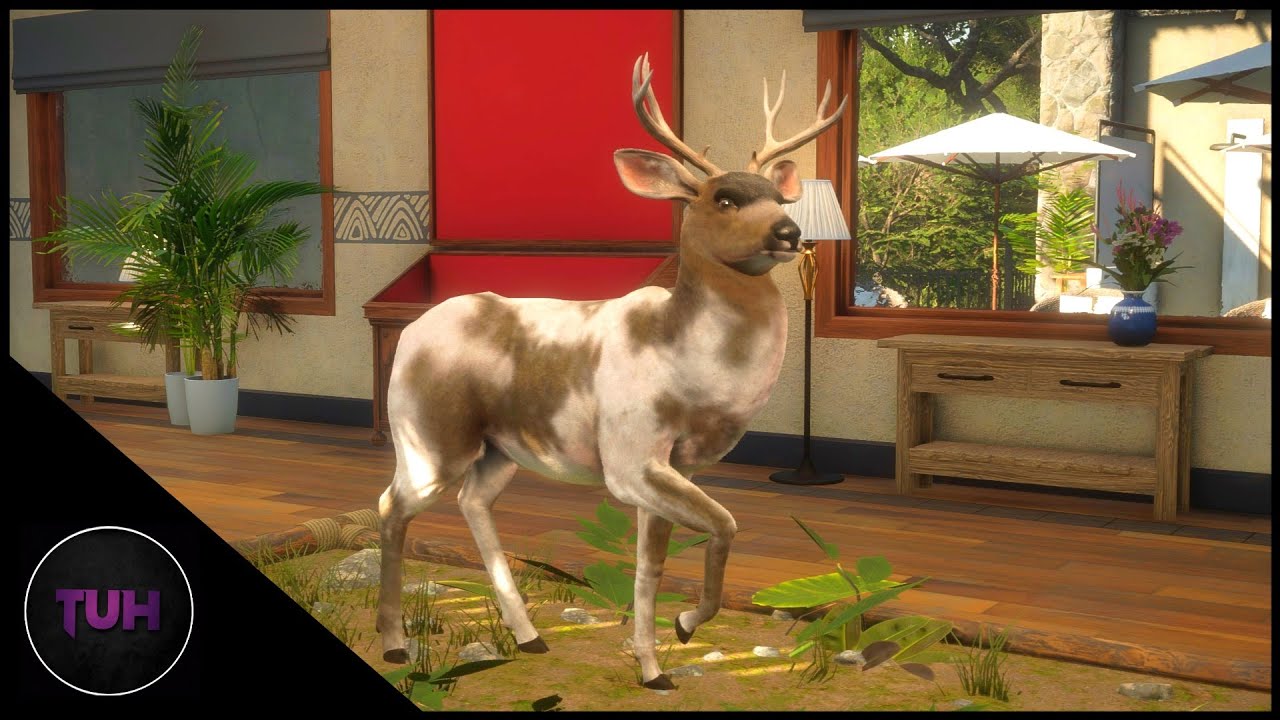 Smoking Parque Fernando Trophies!!! | theHunter: Call of the Wild - YouTube