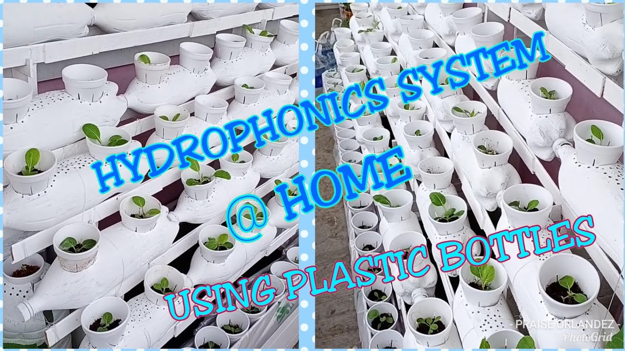 HYDROPHONICS FARMING @HOME USING PLASTIC BOTTLES/ DIY HYDROPONIC SYSTEM ...